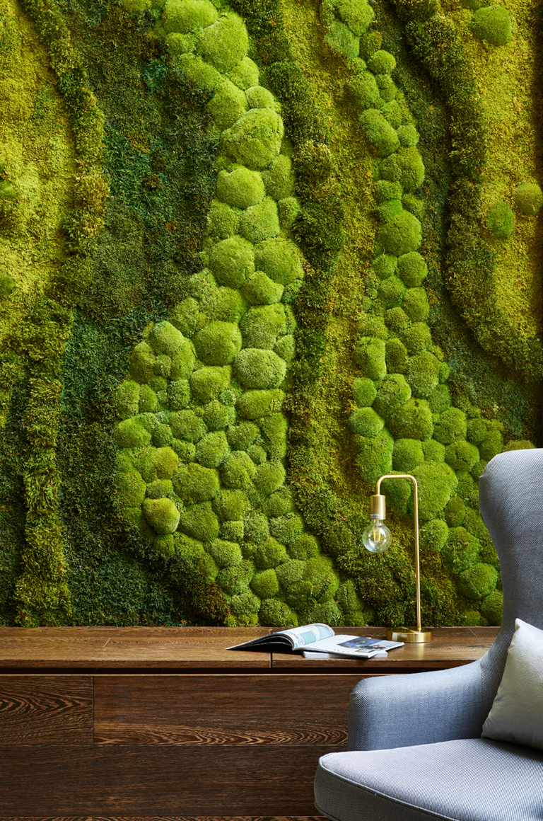 What Is A Moss Wall? - London Contemporary